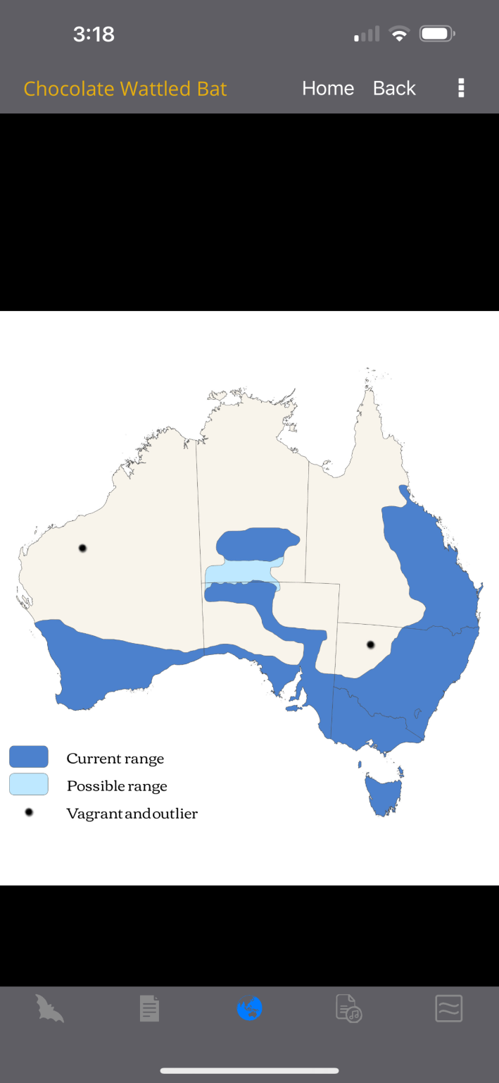 Australian Bats Field Guide - Mobile App | Auswildlife