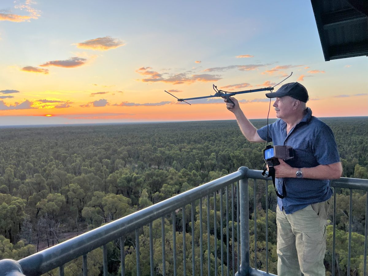 About Me | Wildlife Photographer - Bruce Thomson